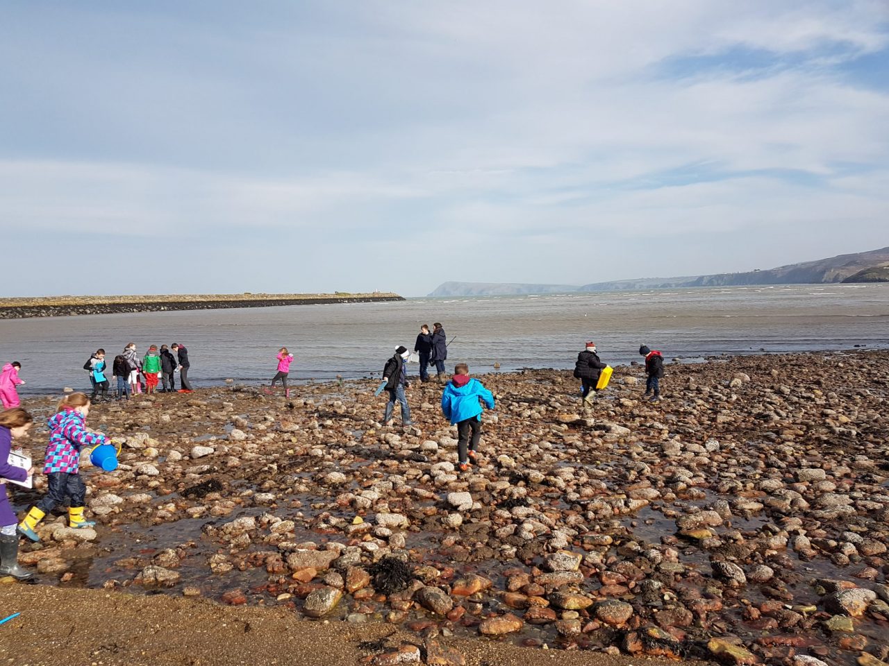 Sea Trust Aquarium | Places to Visit | Fishguard