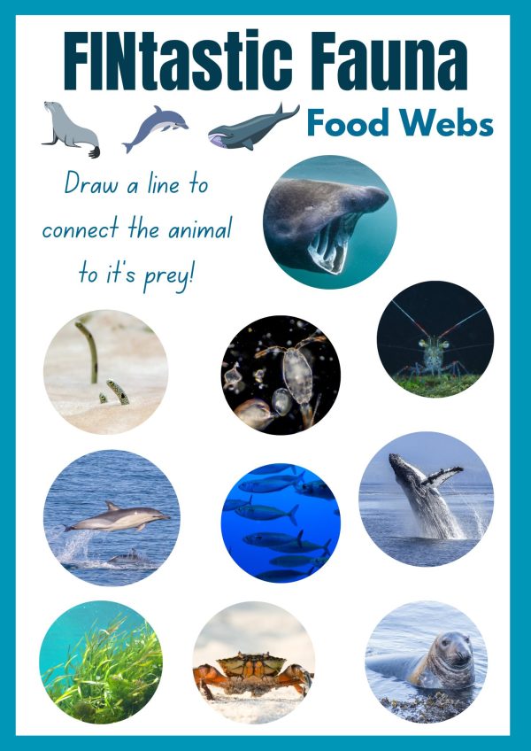 FINtastic Fauna - Seatrust