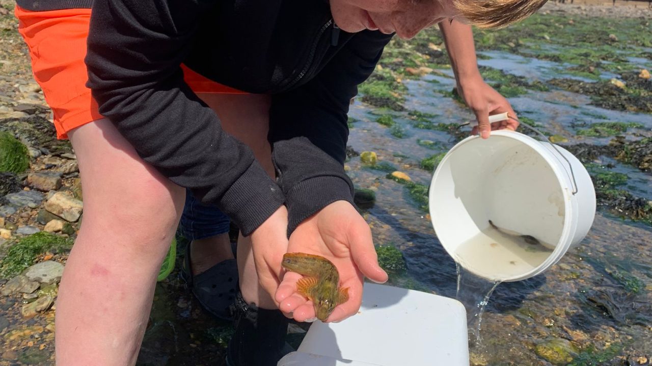 Aquarium School Trips & Visits | Sea Trust Wales